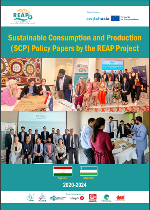 Sustainable Consumption and Production (SCP) Policy Papers by the REAP ...