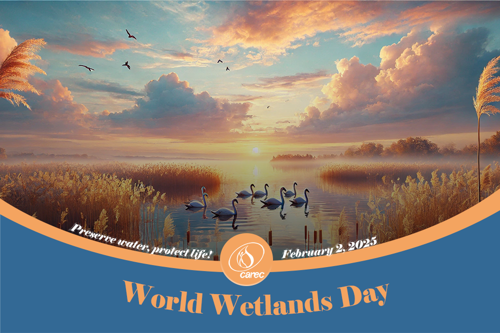 World Wetlands Day 2025: Restoration and Protection of Ecosystems