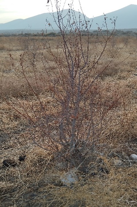 Working Visit to Target Areas within the Project “Sustainable Landscape ...